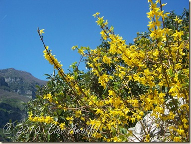 Spring Blossoms on the Amalfi Coast | Ciao Amalfi